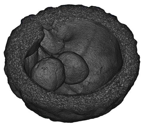 From Beldibi to Bedfordshire – 11,000 Years of Tokens Part 2. Pushing ...